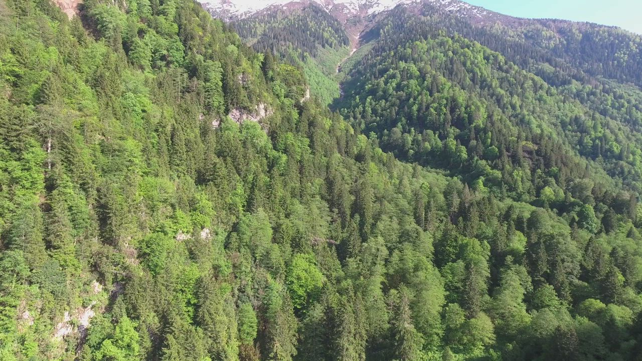 Forest and mountain landscape - Free Stock Video