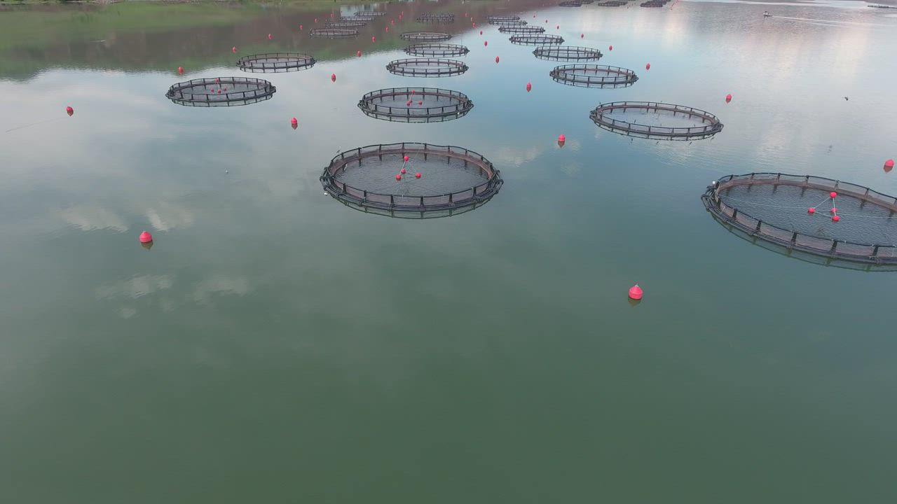 Fish farm in the lake - Free Stock Video