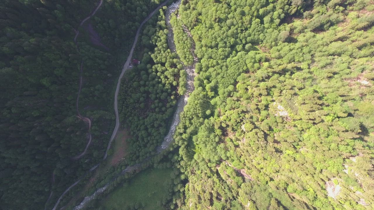 Aerial view of a stream between the forest - Free Stock Video