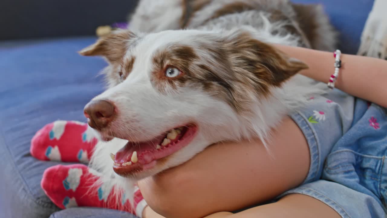 Girl Cuddling Dog on Couch - Free Stock Video