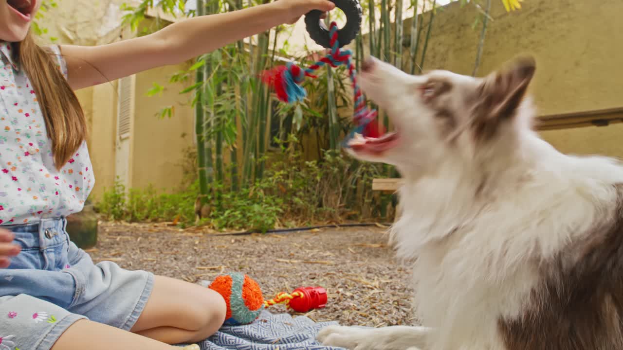 Playful Girl and Dog Interaction - Free Stock Video